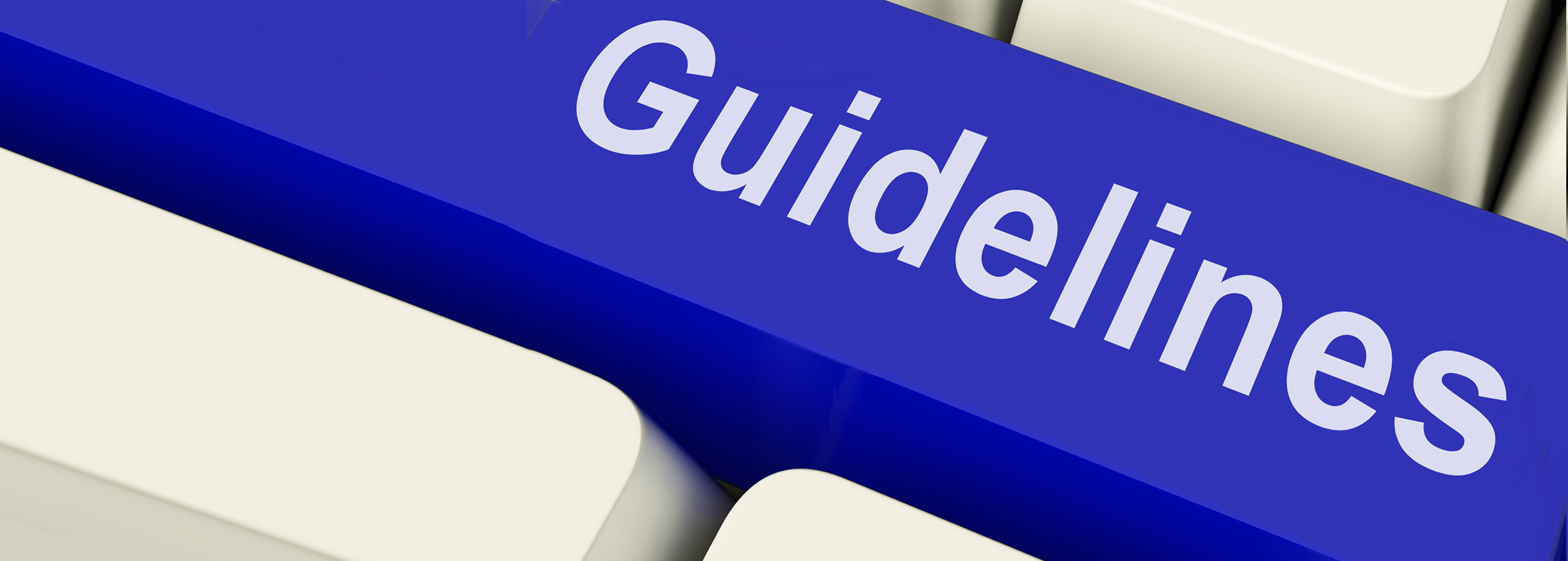 WP29: Guidelines sul ruolo del Data Protection Officer – PRIVACY DPO
